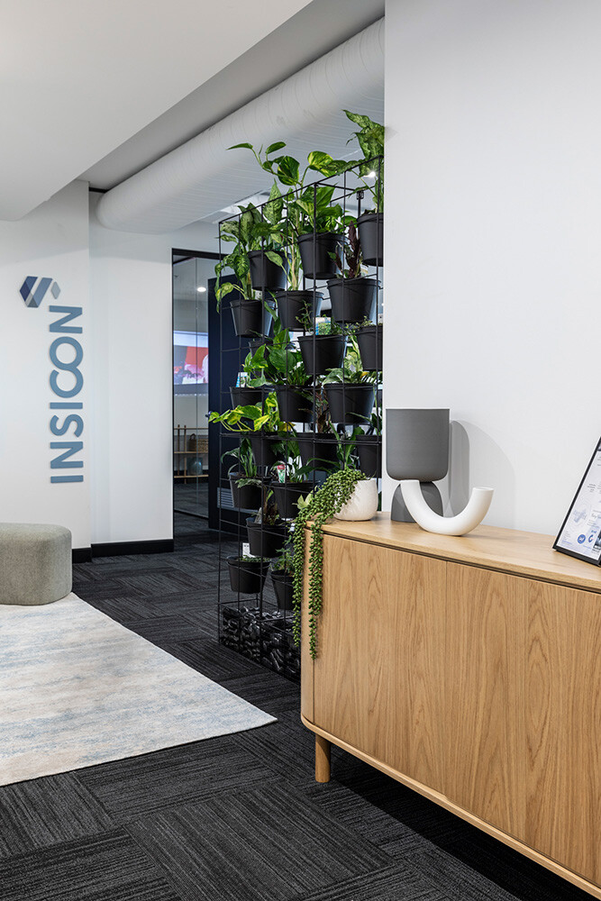About | Insicon